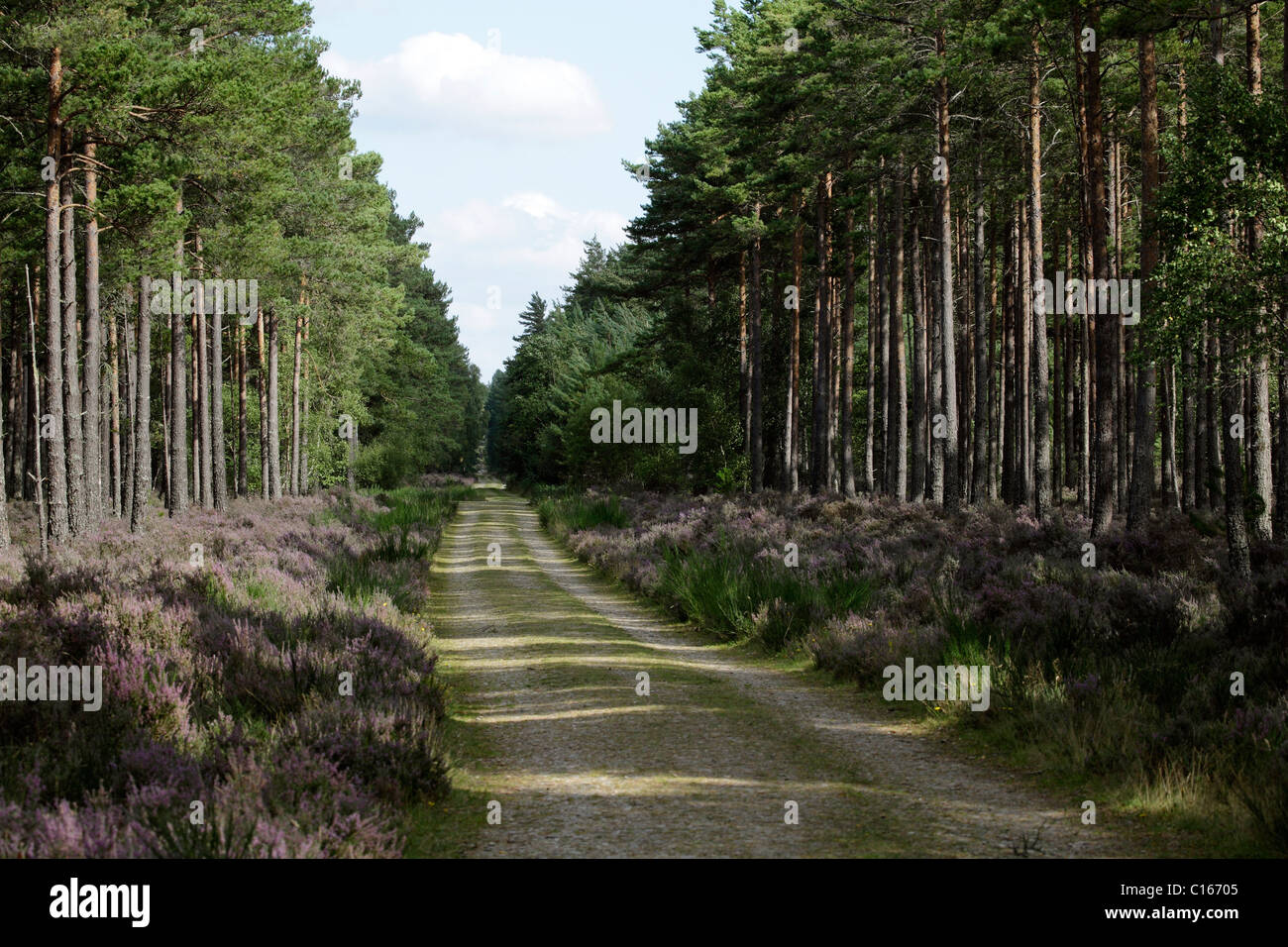 Culbin scotland hi-res stock photography and images - Alamy