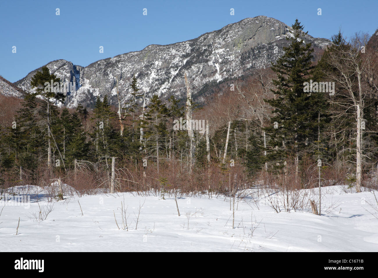 Franconia Notch State Park - Eagle Cliff from the Pemi Trail in the ...