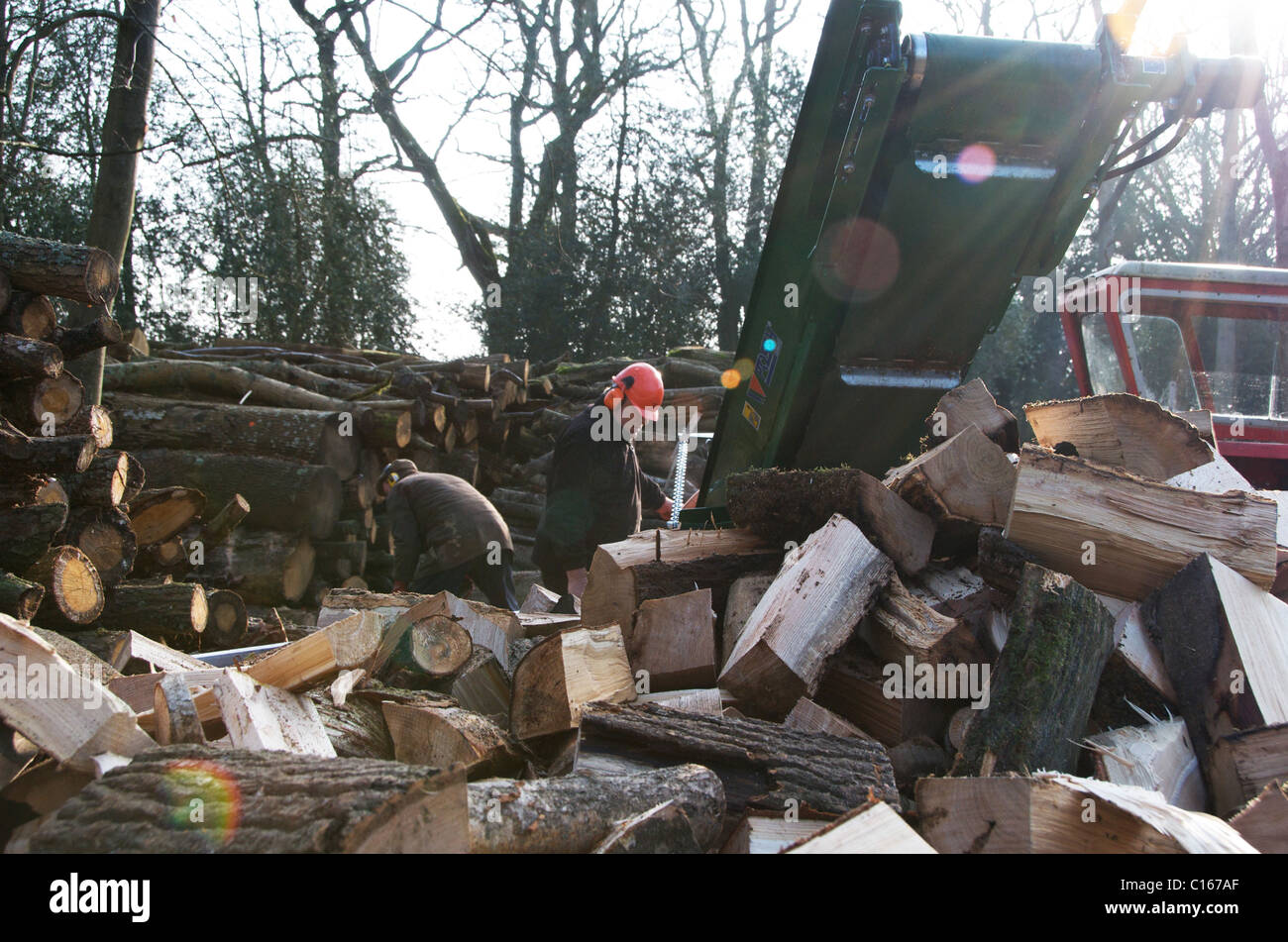 Cutting and splitting logs for domestic fuel use in woodburning stoves ...