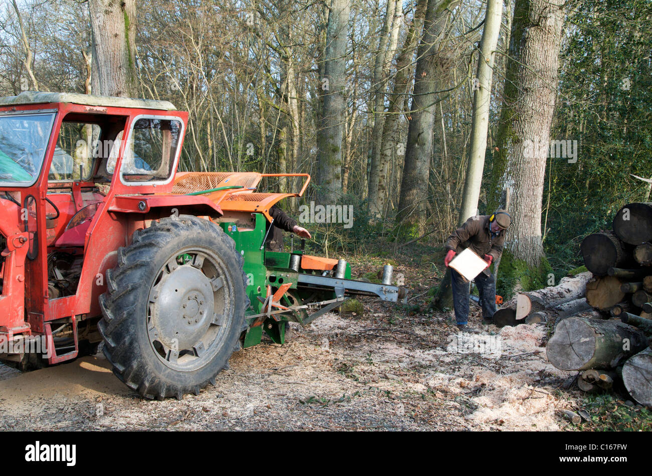 Cutting and splitting logs for domestic fuel use in woodburning stoves ...
