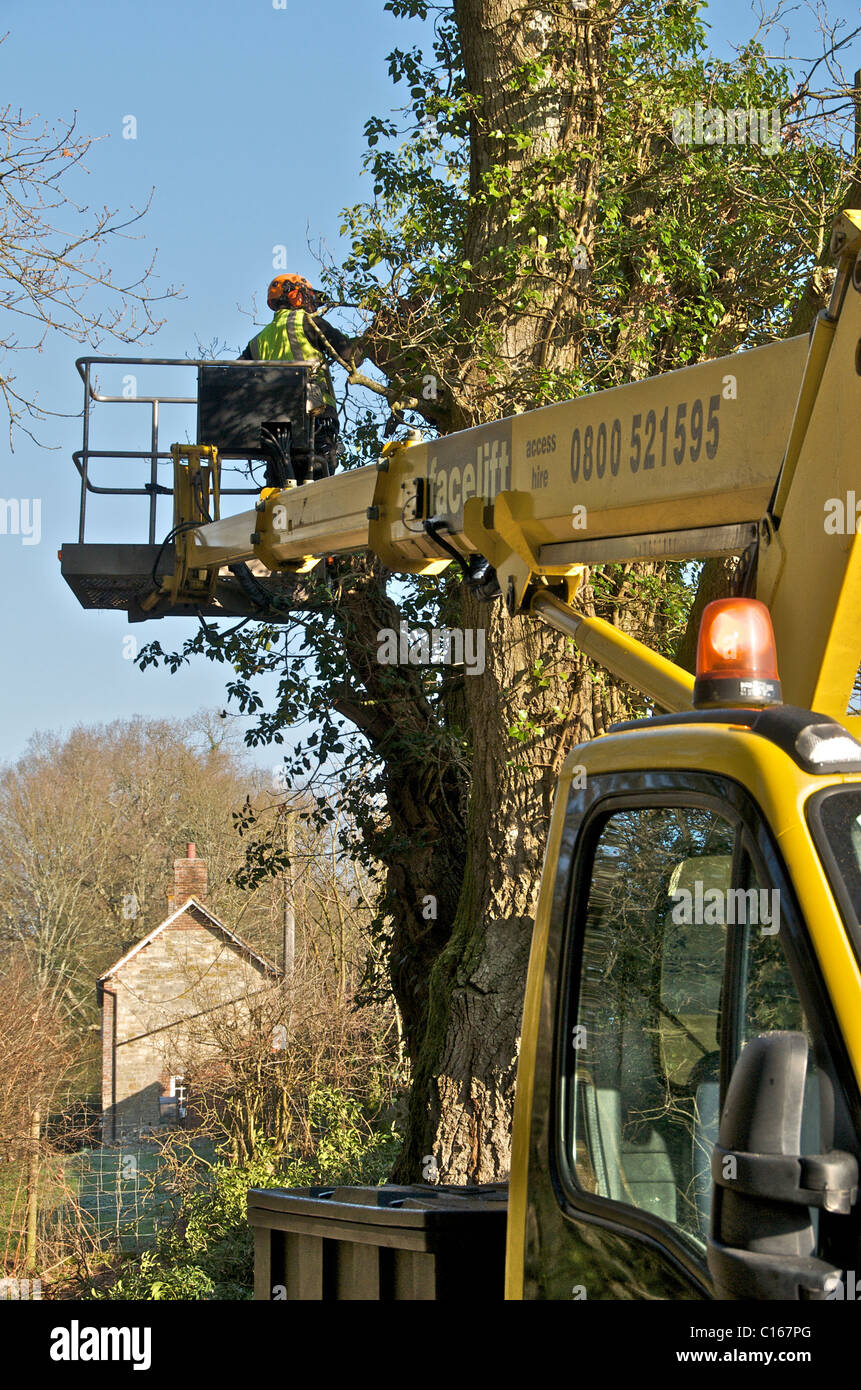Cutting trees roadside hi-res stock photography and images - Alamy