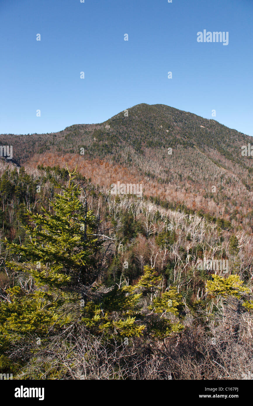 Sandwich Range Wilderness - Mount Passaconaway from Square Ledge in the ...