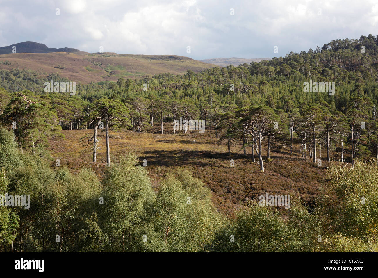 September scene scotland hi-res stock photography and images - Alamy