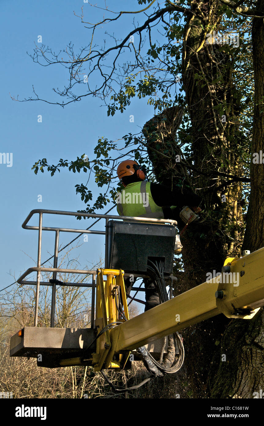 Cutting trees roadside hi-res stock photography and images - Alamy