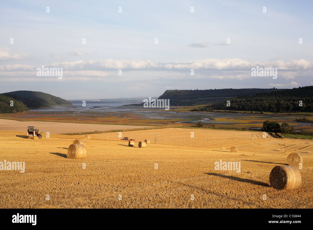 Hay bay hi-res stock photography and images - Alamy