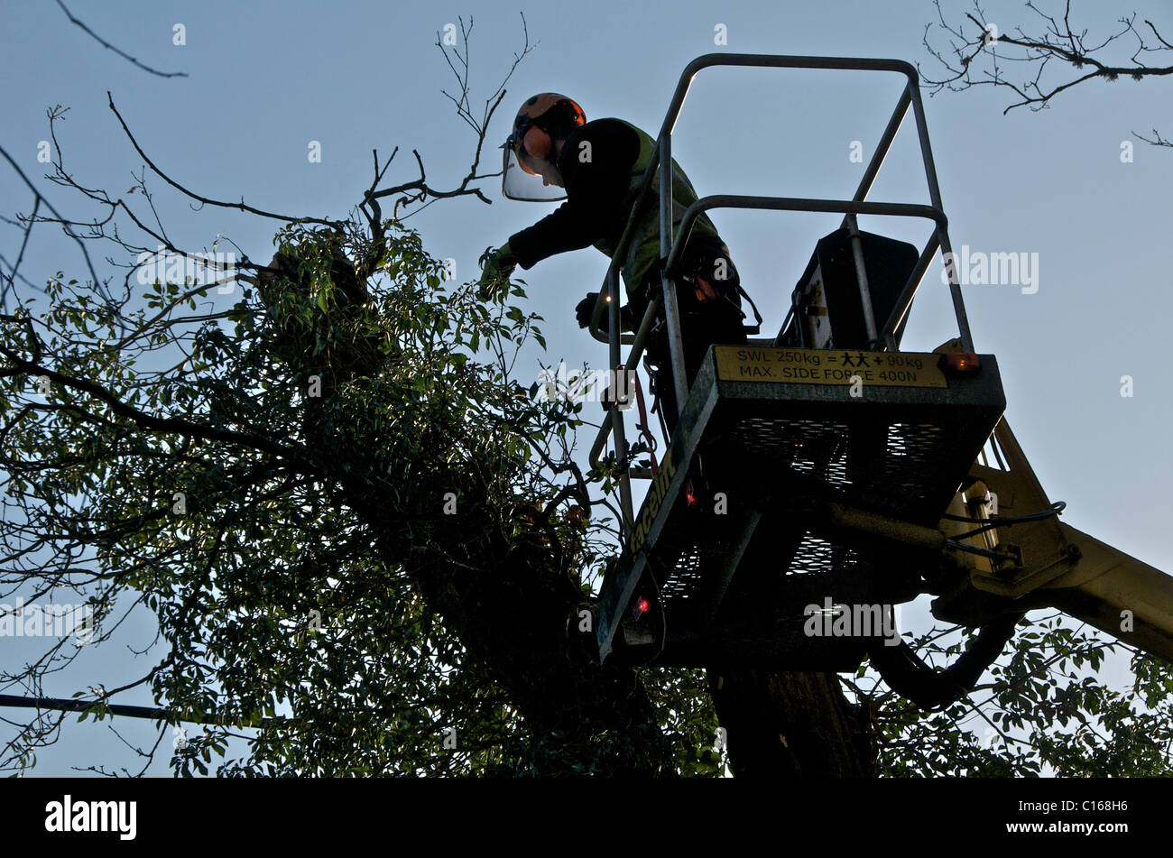 Cutting trees roadside hi-res stock photography and images - Alamy