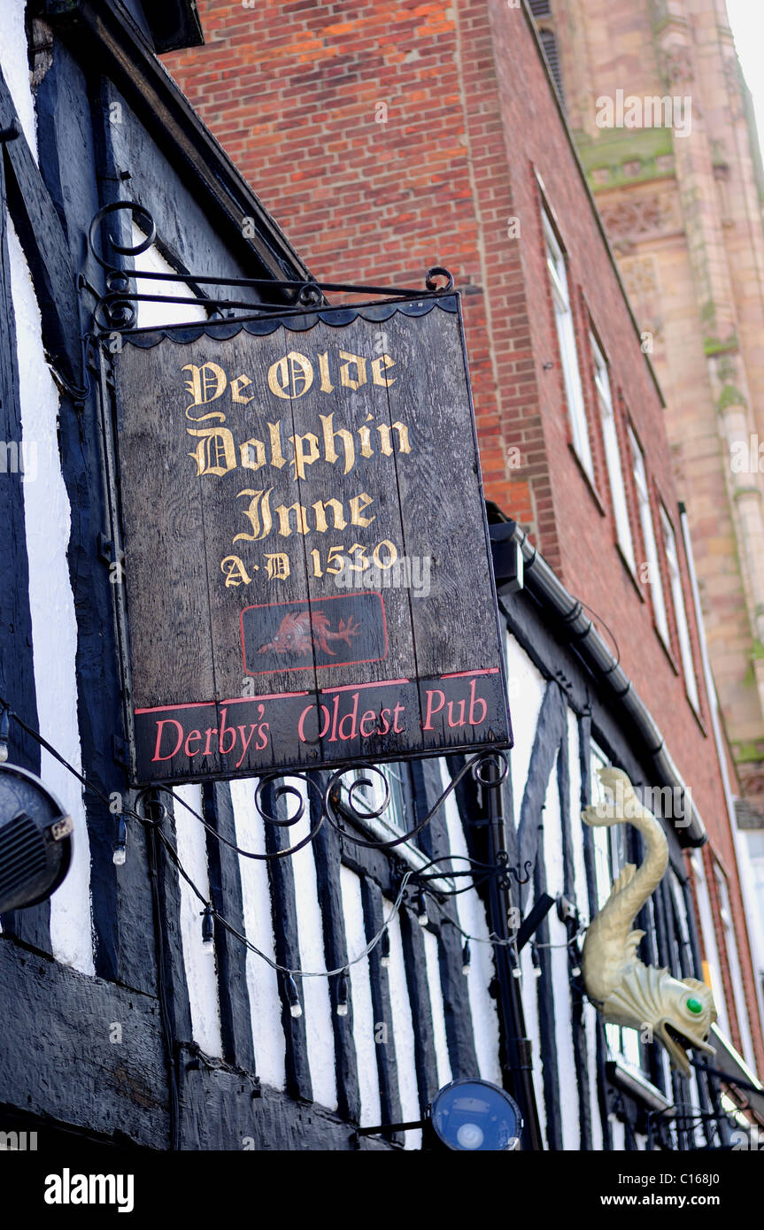 Dolphin derby hi-res stock photography and images - Alamy