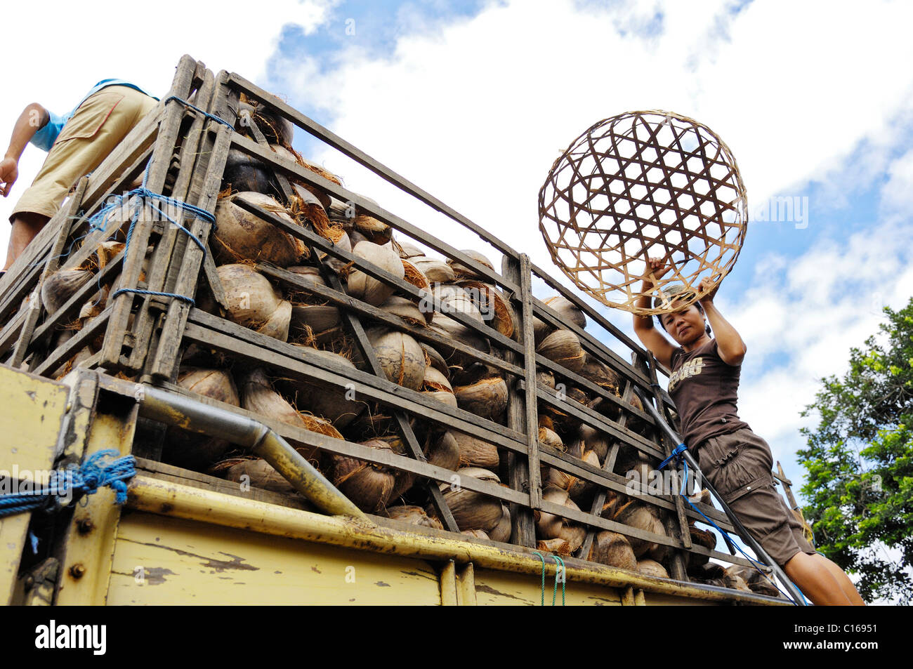 Coconut truck hi-res stock photography and images - Alamy