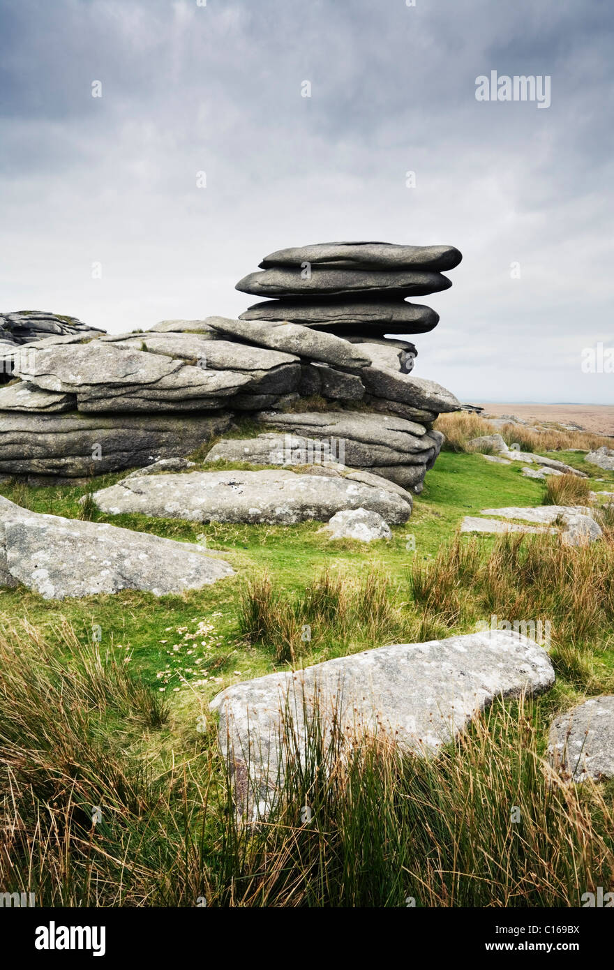 Rough Tor. Bodmin Moor. Cornwall. England. UK Stock Photo - Alamy