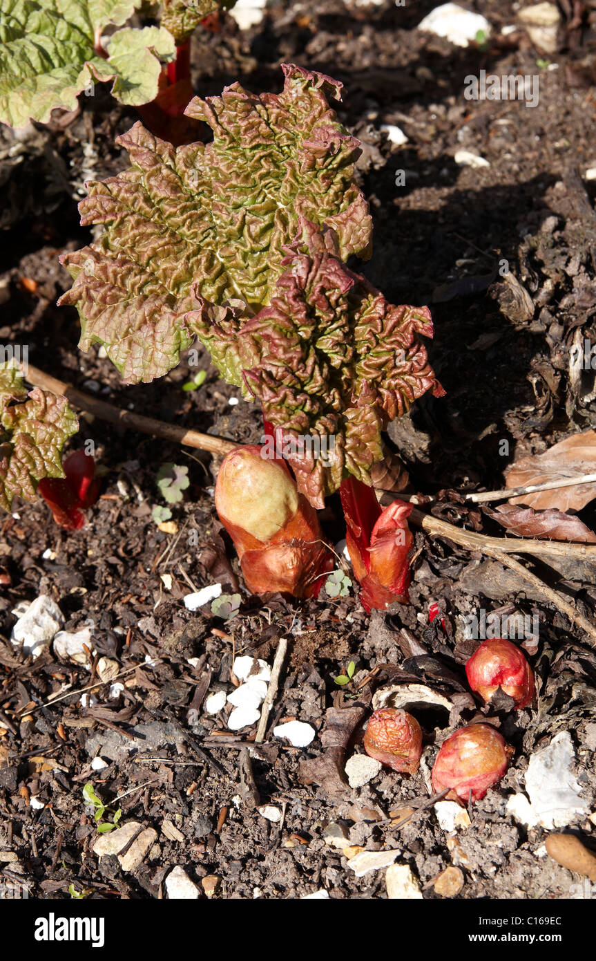 Timperley hi-res stock photography and images - Alamy