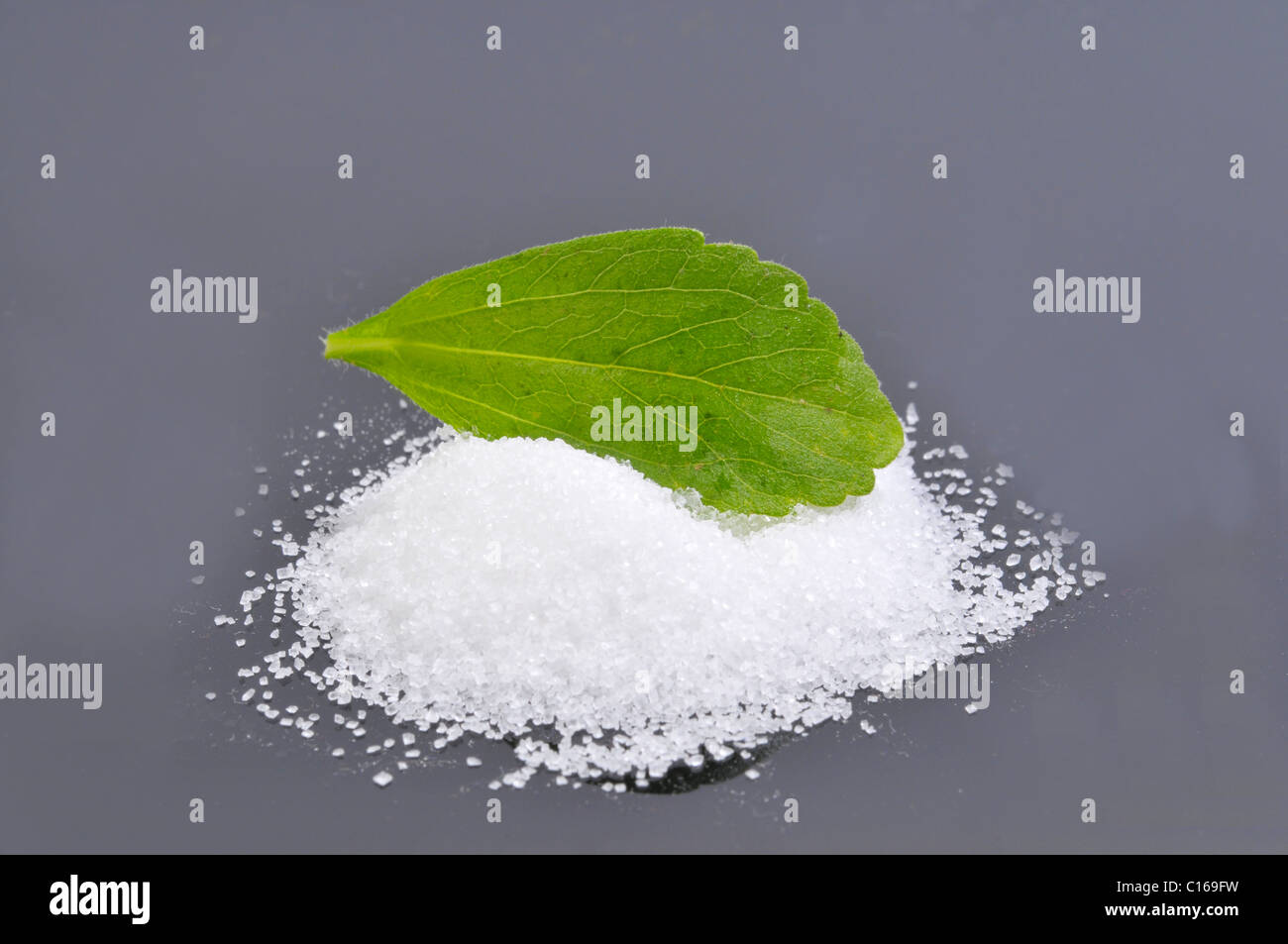 Sweetleaf (Stevia rebaudiana Stock Photo - Alamy