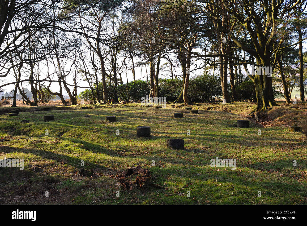 Stone Posts erected on the site were the original oak posts stood at ...