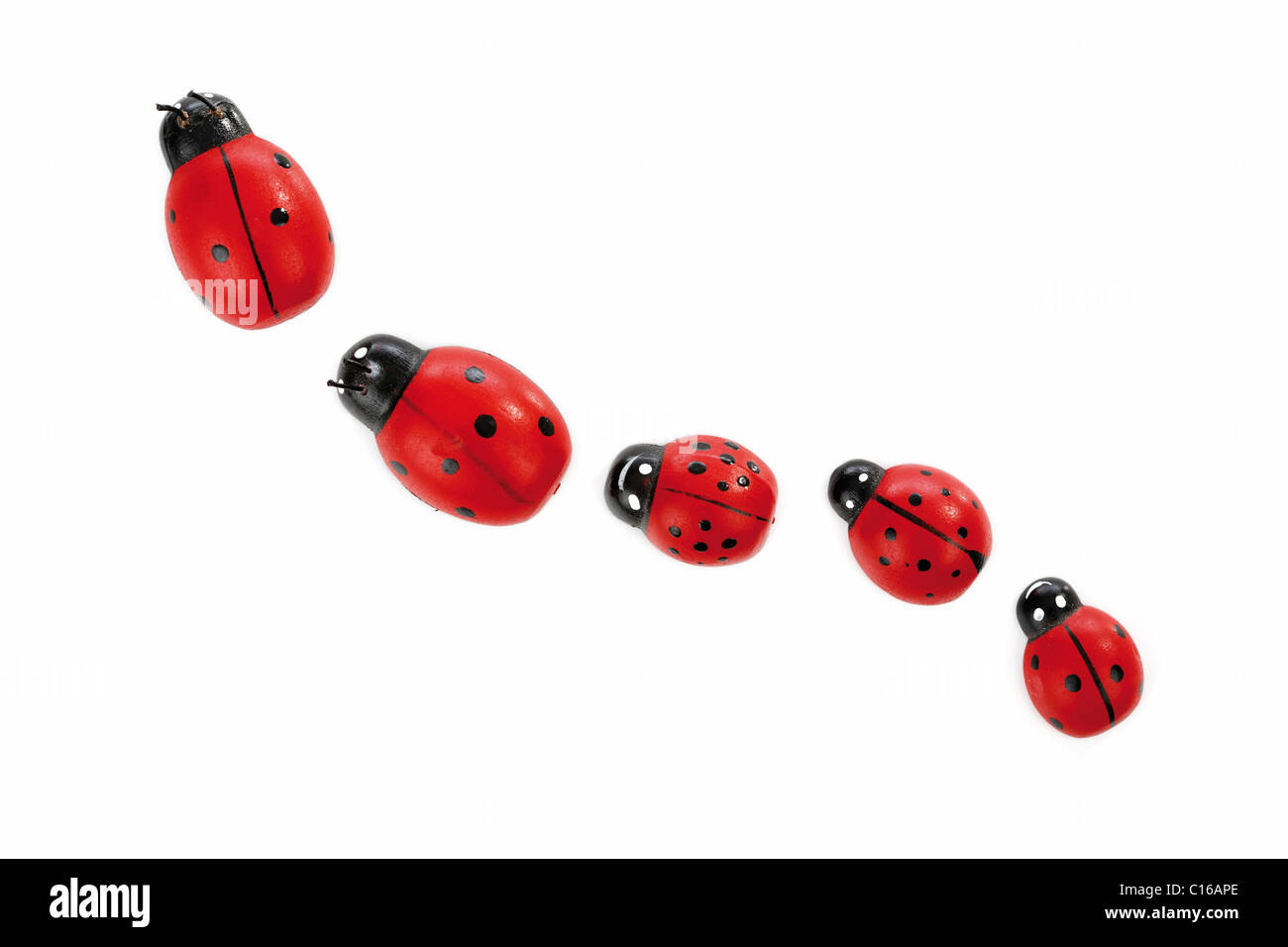 Good luck bird hi-res stock photography and images - Alamy