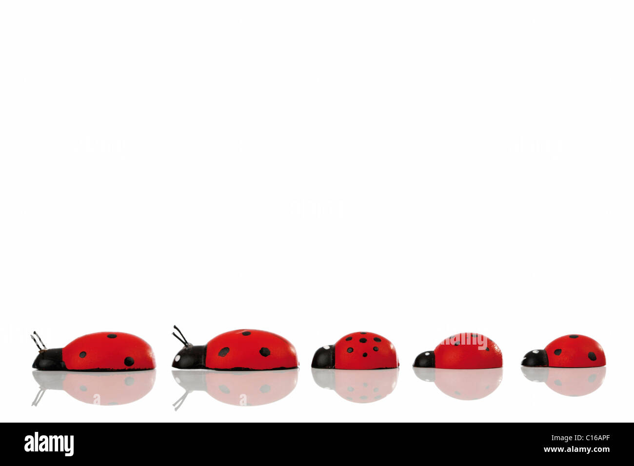 Good luck bird hi-res stock photography and images - Alamy