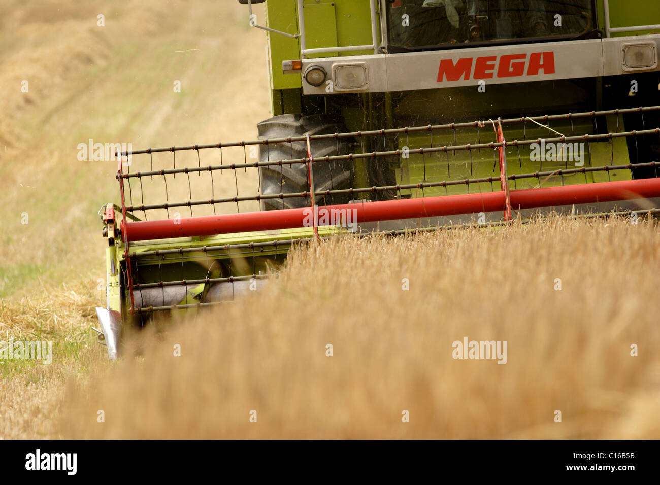 Combine harvester harvesting wheat, Yorkshire farm, UK Stock Photo - Alamy