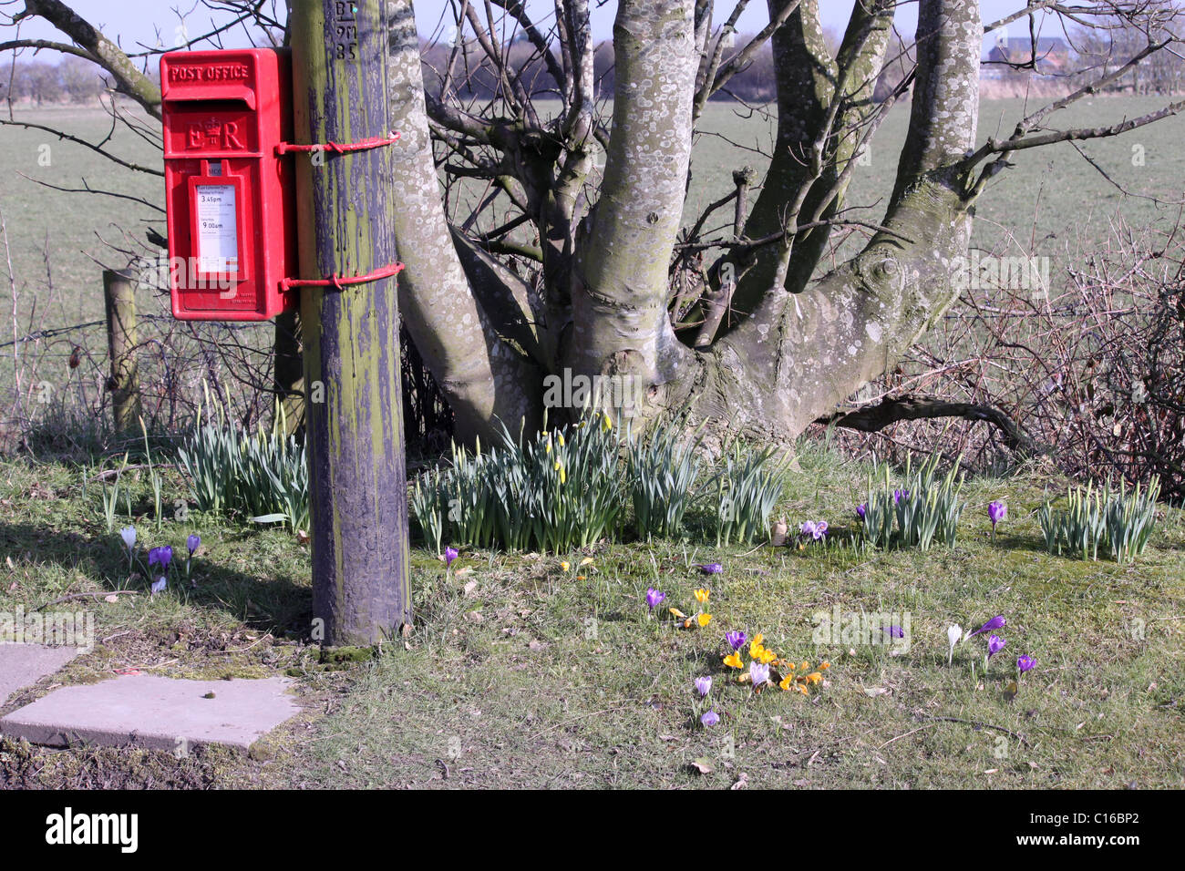 Royal mail post box attached hi-res stock photography and images - Alamy