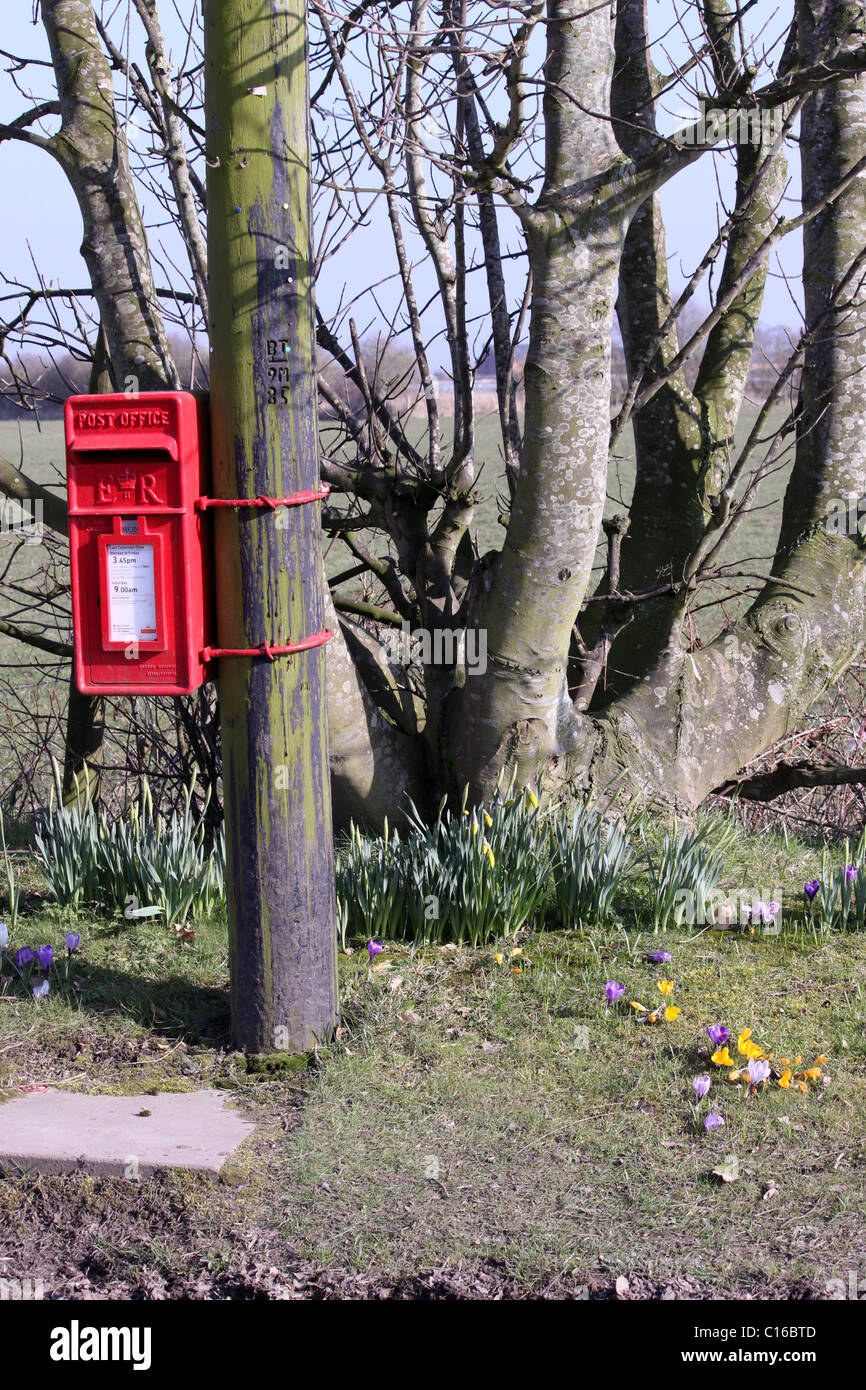 Lancashire post box sunny hi-res stock photography and images - Alamy