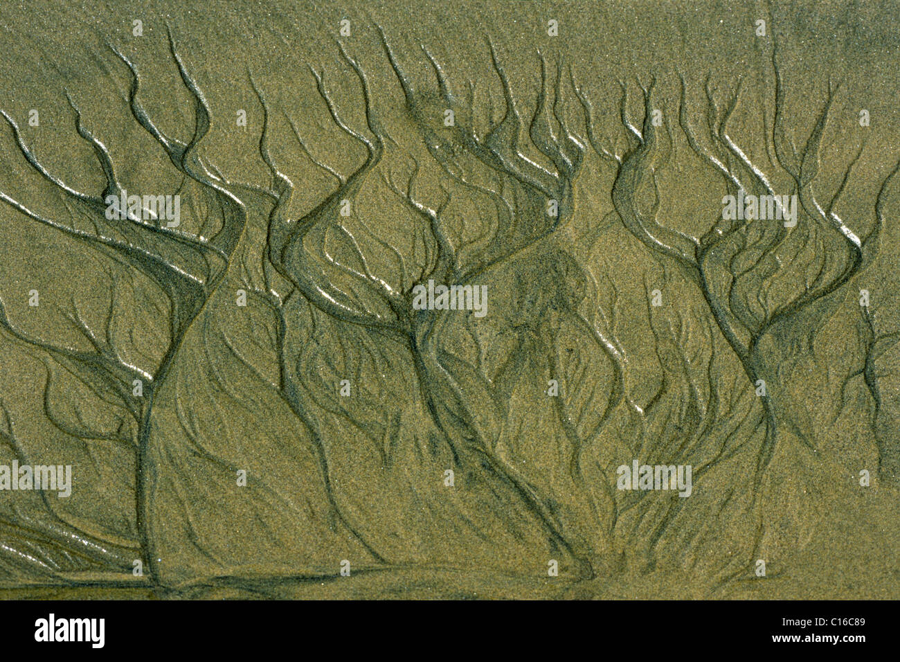 Tidal patterns on beach hi-res stock photography and images - Alamy
