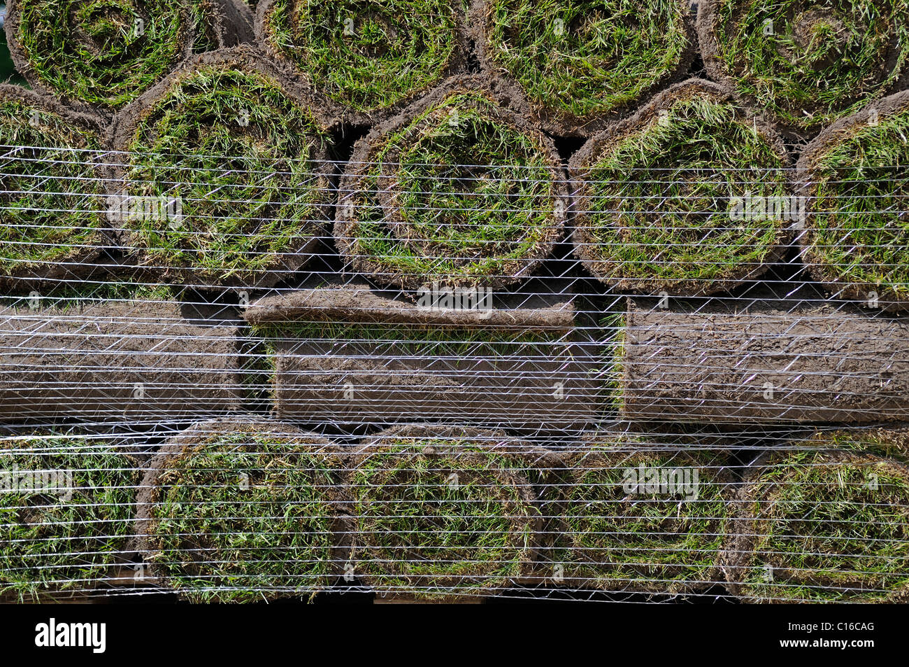 A pallet of rolled turf Stock Photo - Alamy