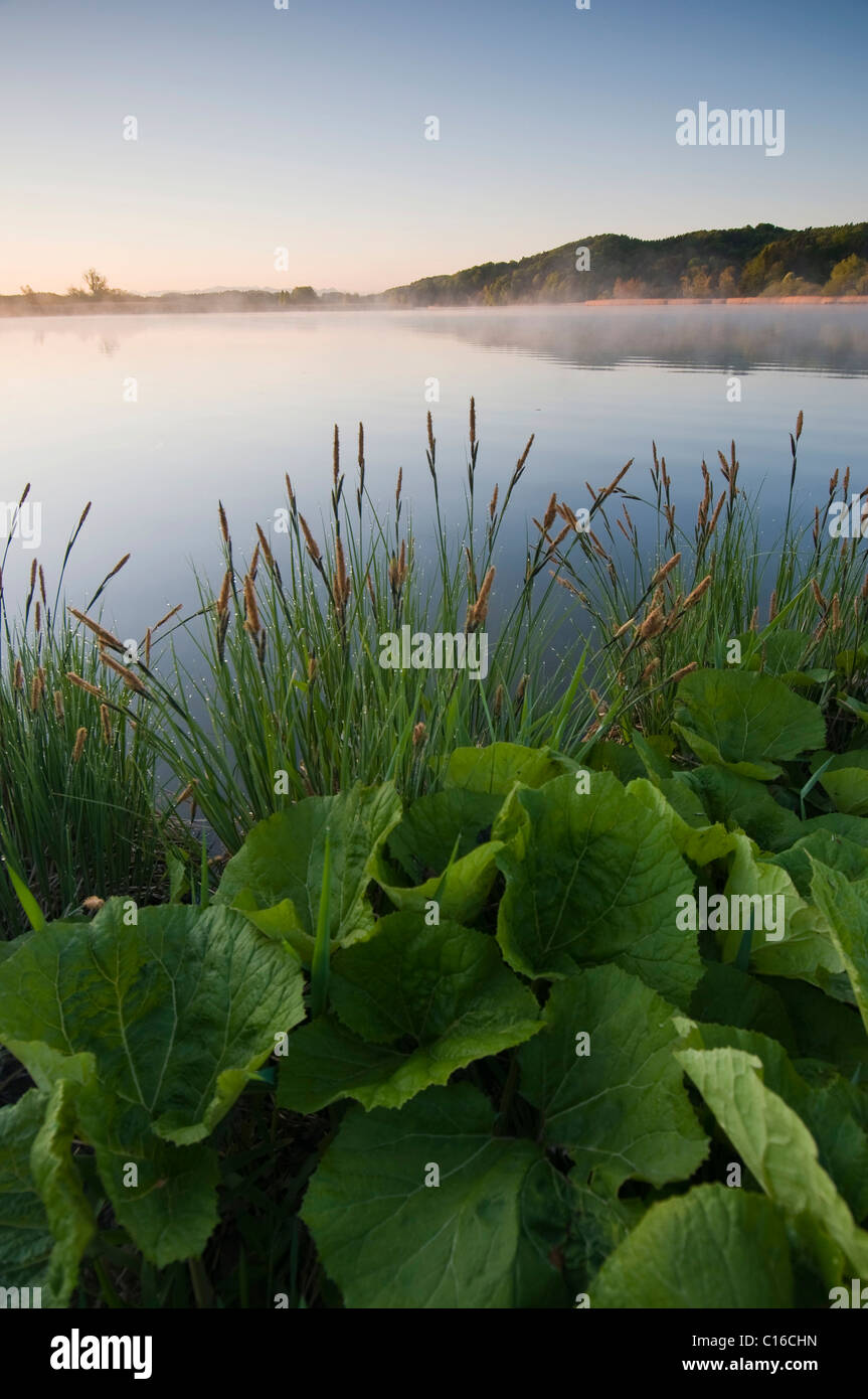 Seehamer See Lake, Upper Bavaria, Germany, Europe Stock Photo - Alamy