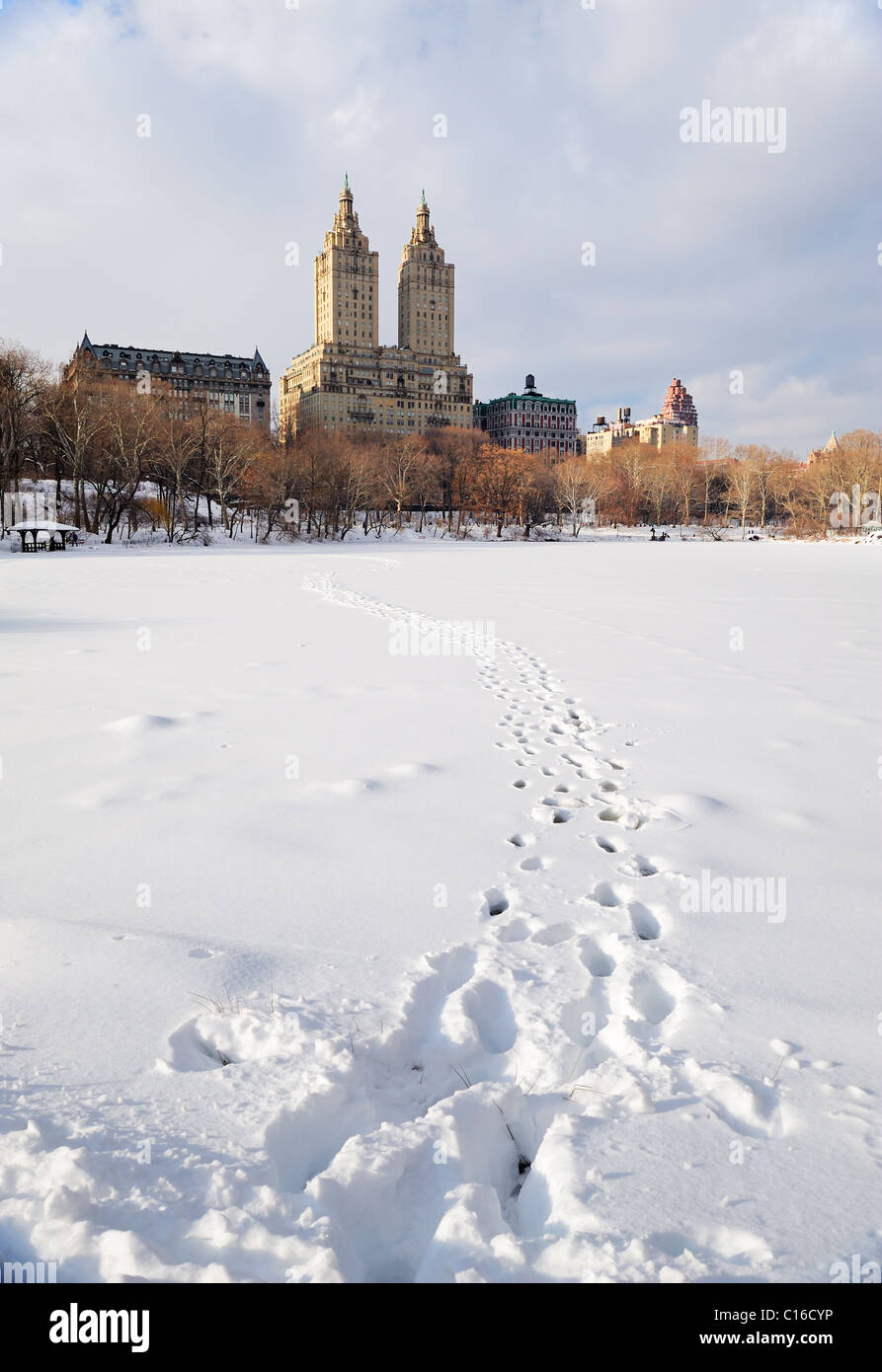 New York City Manhattan Central Park in winter with ice and snow over ...