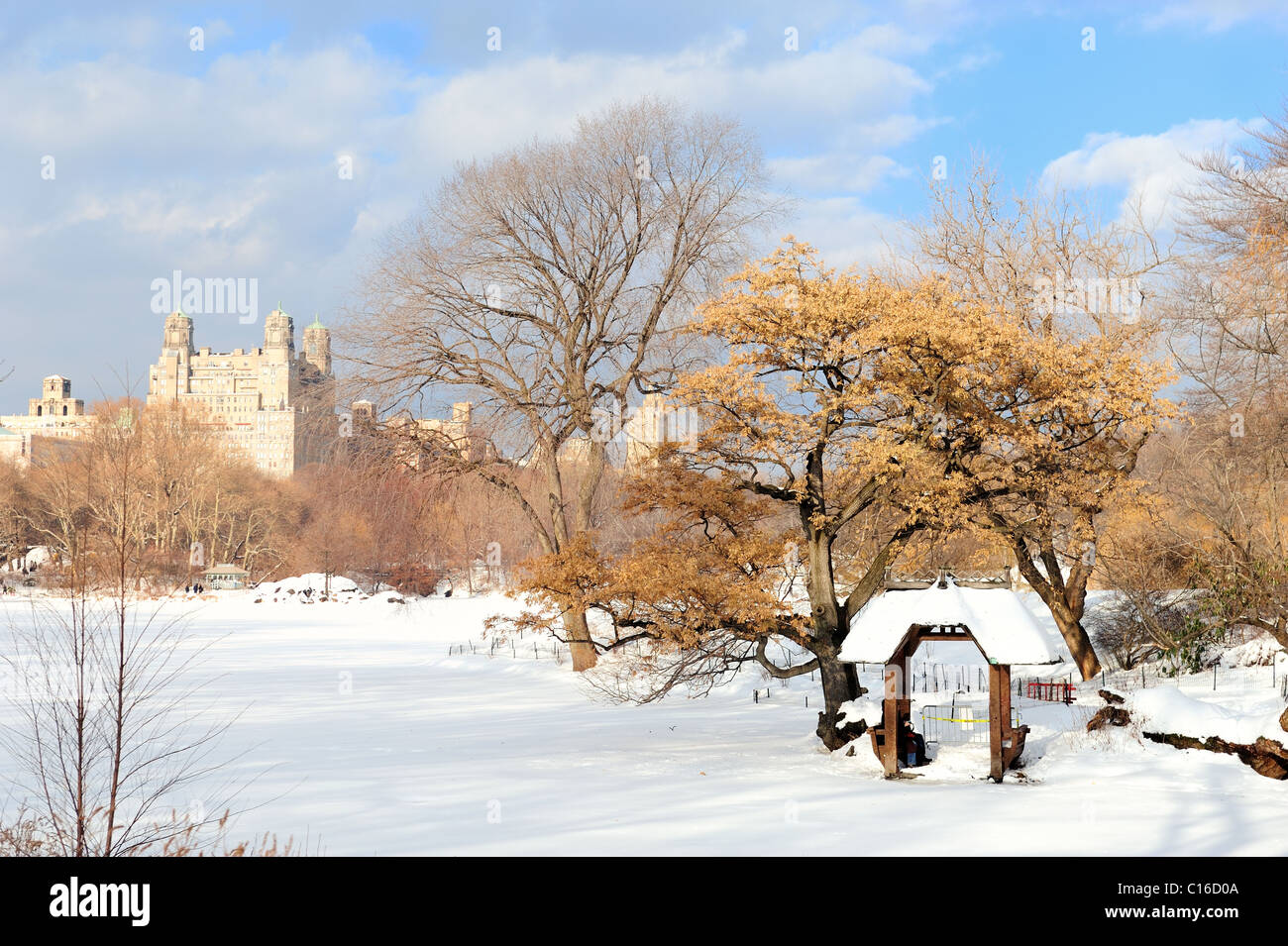 New York City Manhattan Central Park in winter with snow and city ...