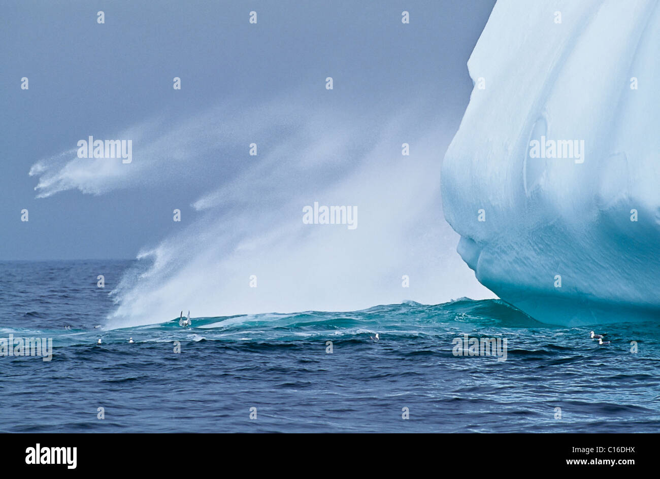 Labrador coast hi-res stock photography and images - Alamy