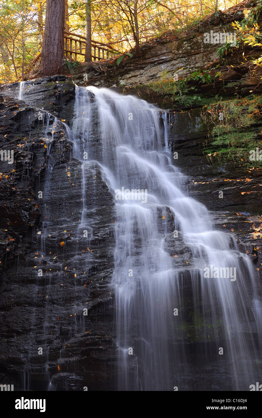 Waterfall in mountain with Autumn foliage and woods over rocks Stock ...