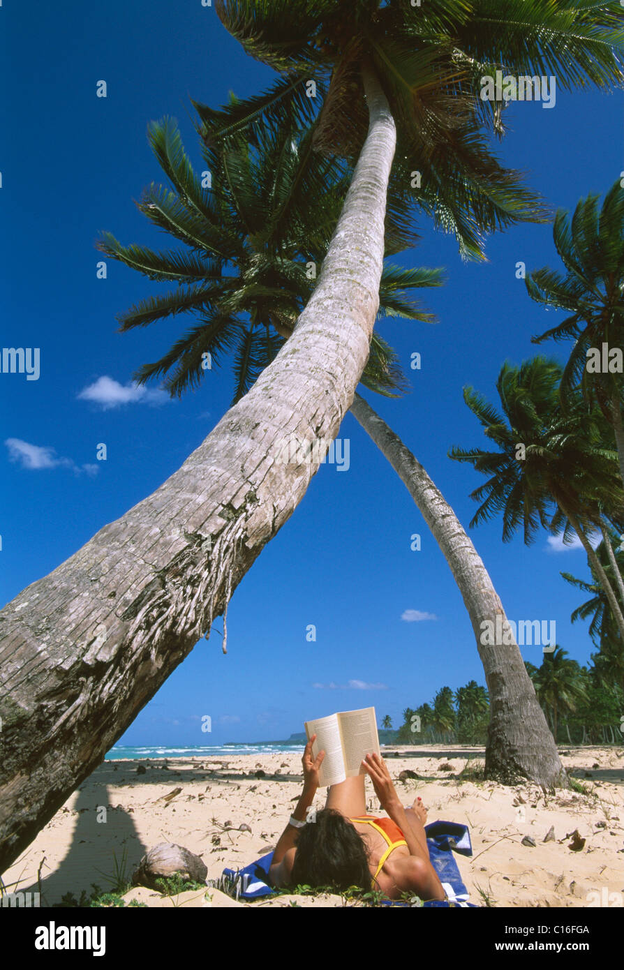 El Rincon, Samana Peninsula, Dominican Republic, Caribbean Stock Photo ...