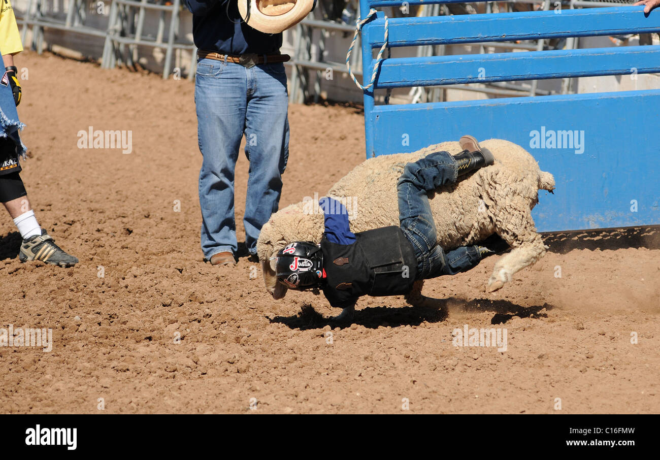 Rodeo tucson fiesta de los vaqueros hi-res stock photography and images ...
