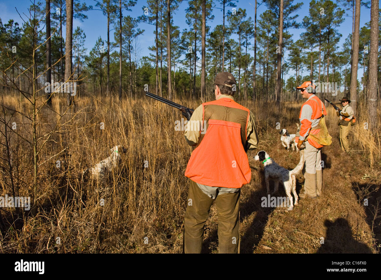 Chris dougherty hi-res stock photography and images - Alamy