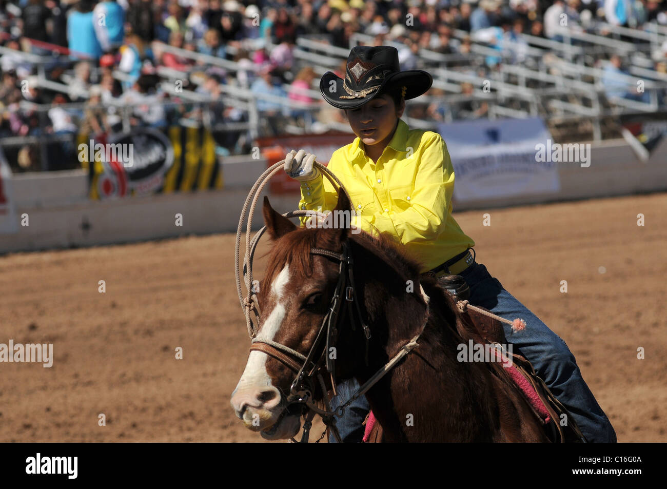 Vaqueros roping horses hi-res stock photography and images - Alamy