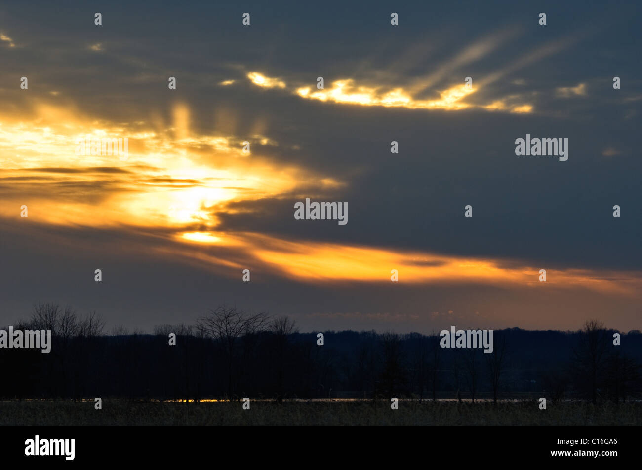 Ewing hi-res stock photography and images - Alamy