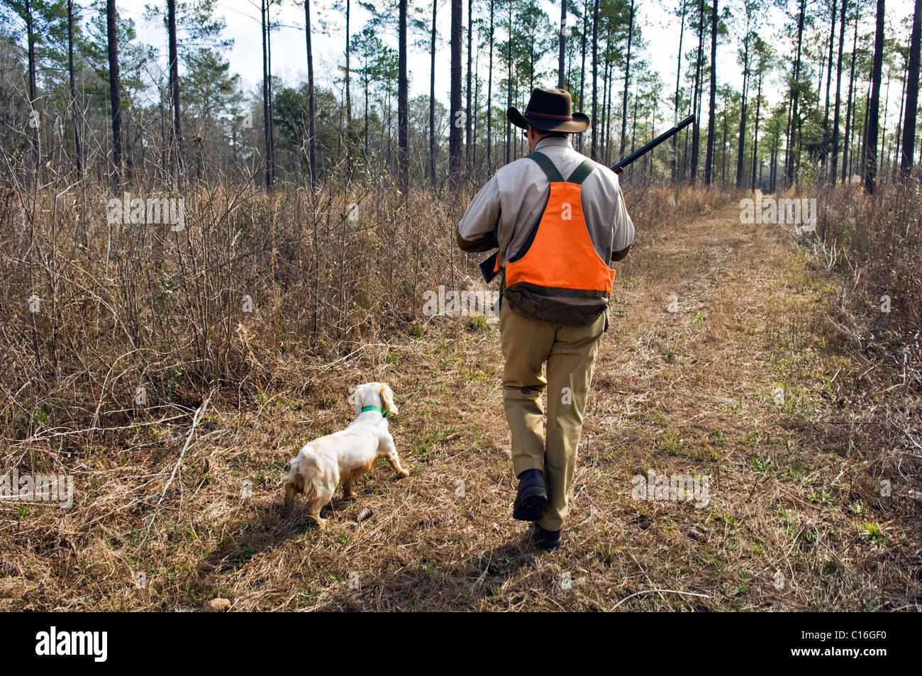 People walking under woods hi-res stock photography and images - Alamy