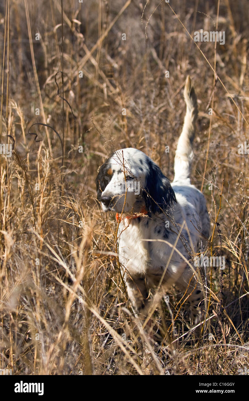 Set down point hi-res stock photography and images - Alamy