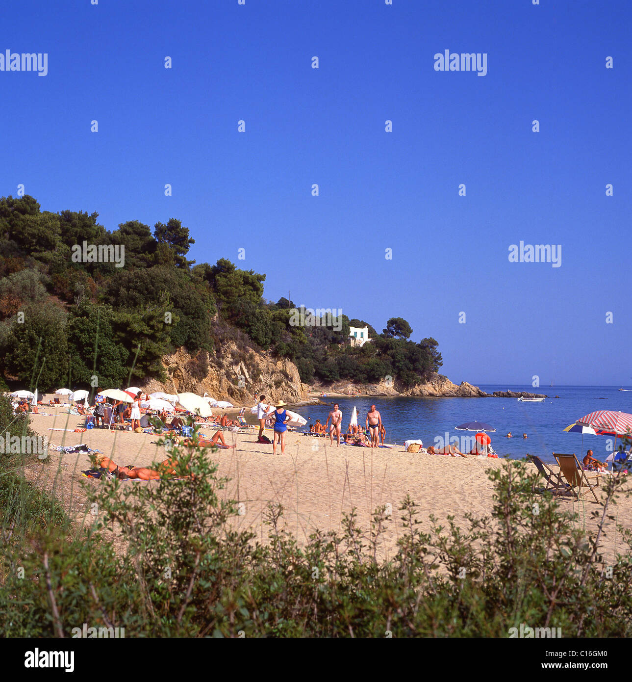 Troulos Beach, Skiathos, The Sporades, Thessaly, Greece Stock Photo - Alamy