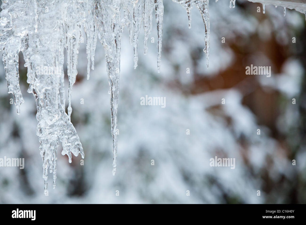 Icecicle hi-res stock photography and images - Alamy
