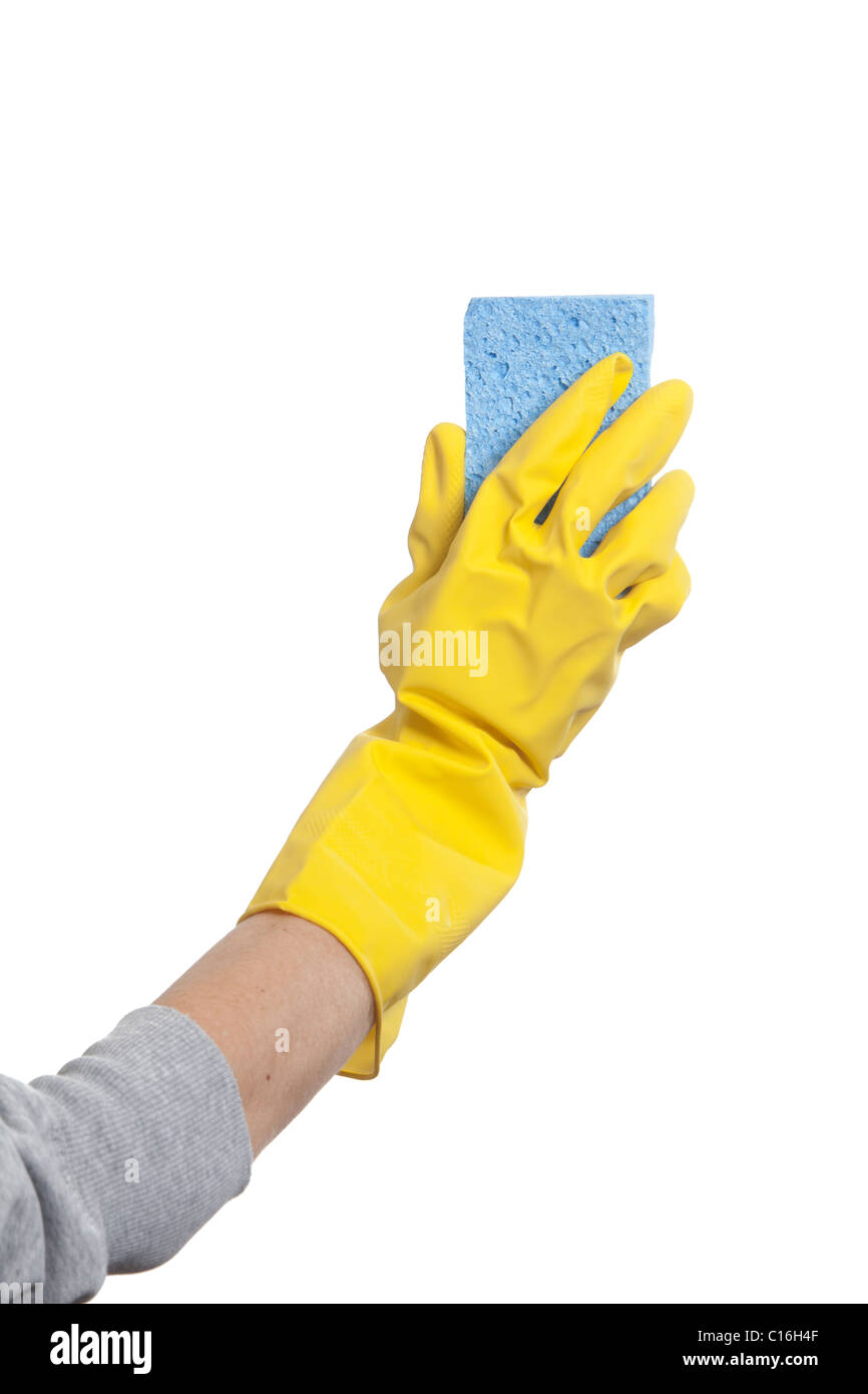 Rubber glove cleaning with sponge on white background Stock Photo - Alamy