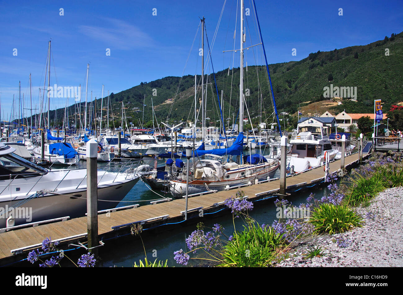 Waikawa Marina, Waikawa Bay, Waikawa, Queen Charlotte Sound ...