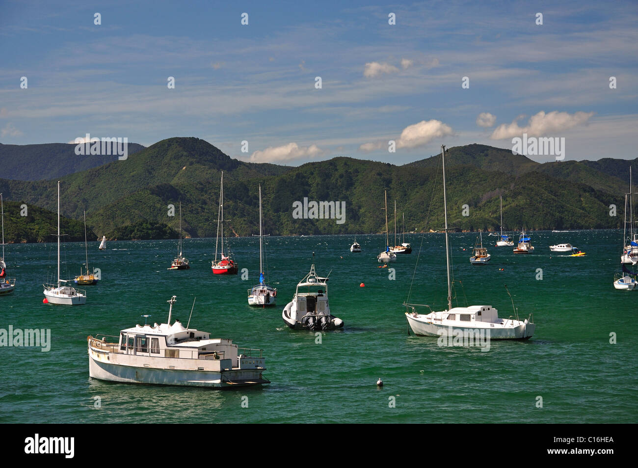 Waikawa Bay Stock Photos & Waikawa Bay Stock Images - Alamy