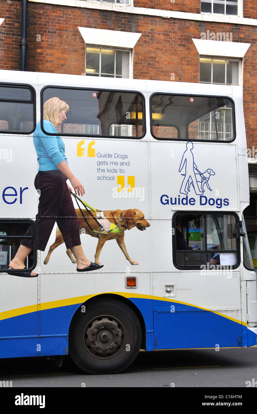 Double decker bus with Guide Dogs livery Stock Photo - Alamy