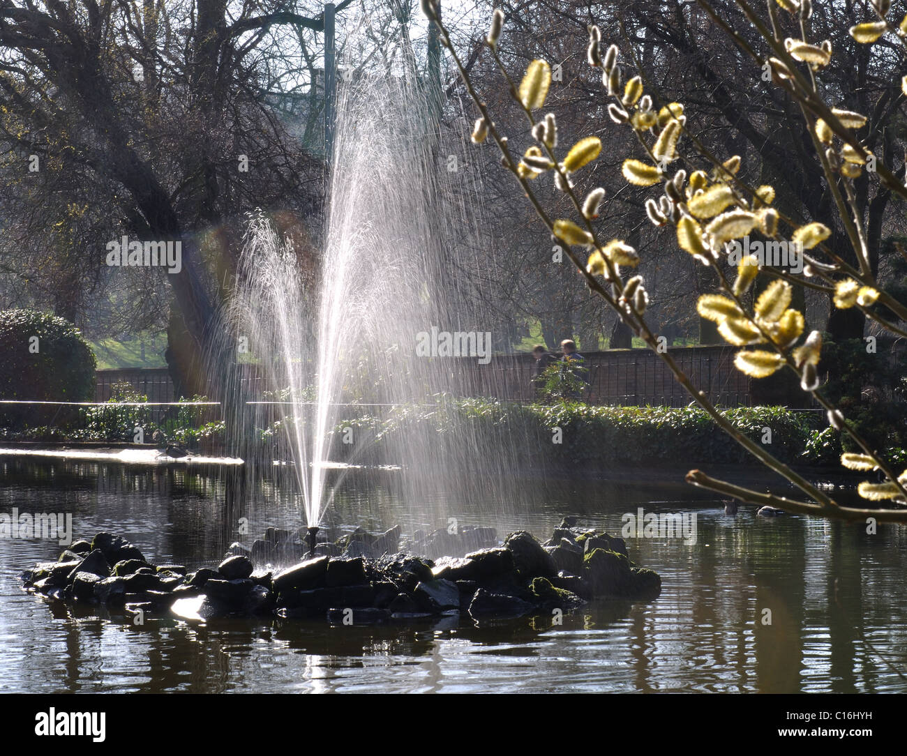 The lake, Arboretum Park, Nottingham, England, UK Stock Photo - Alamy