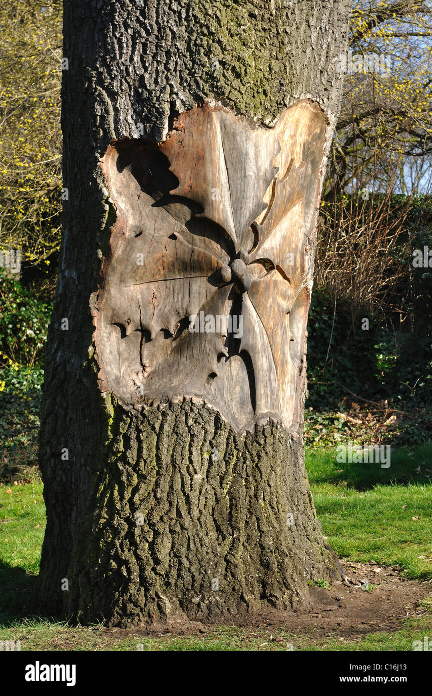 Nottingham arboretum park hi-res stock photography and images - Alamy