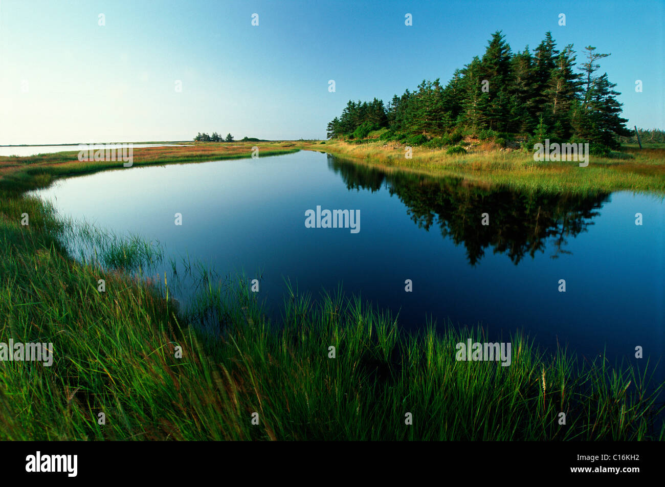 Lagoon And Salt Meadows Crab Meadow Long Island Sound Study