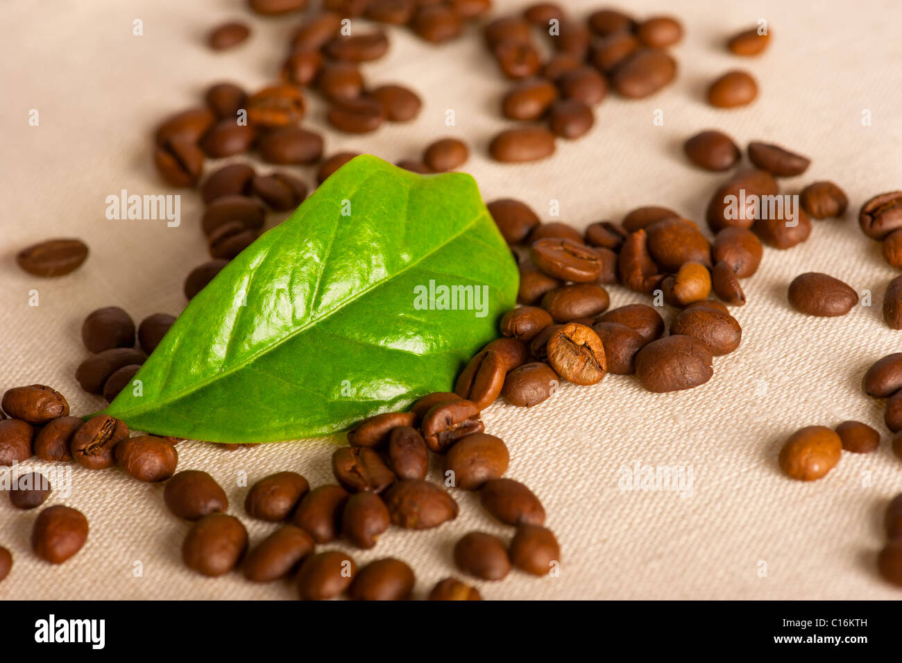 Coffee bean leaf drink hi-res stock photography and images - Alamy