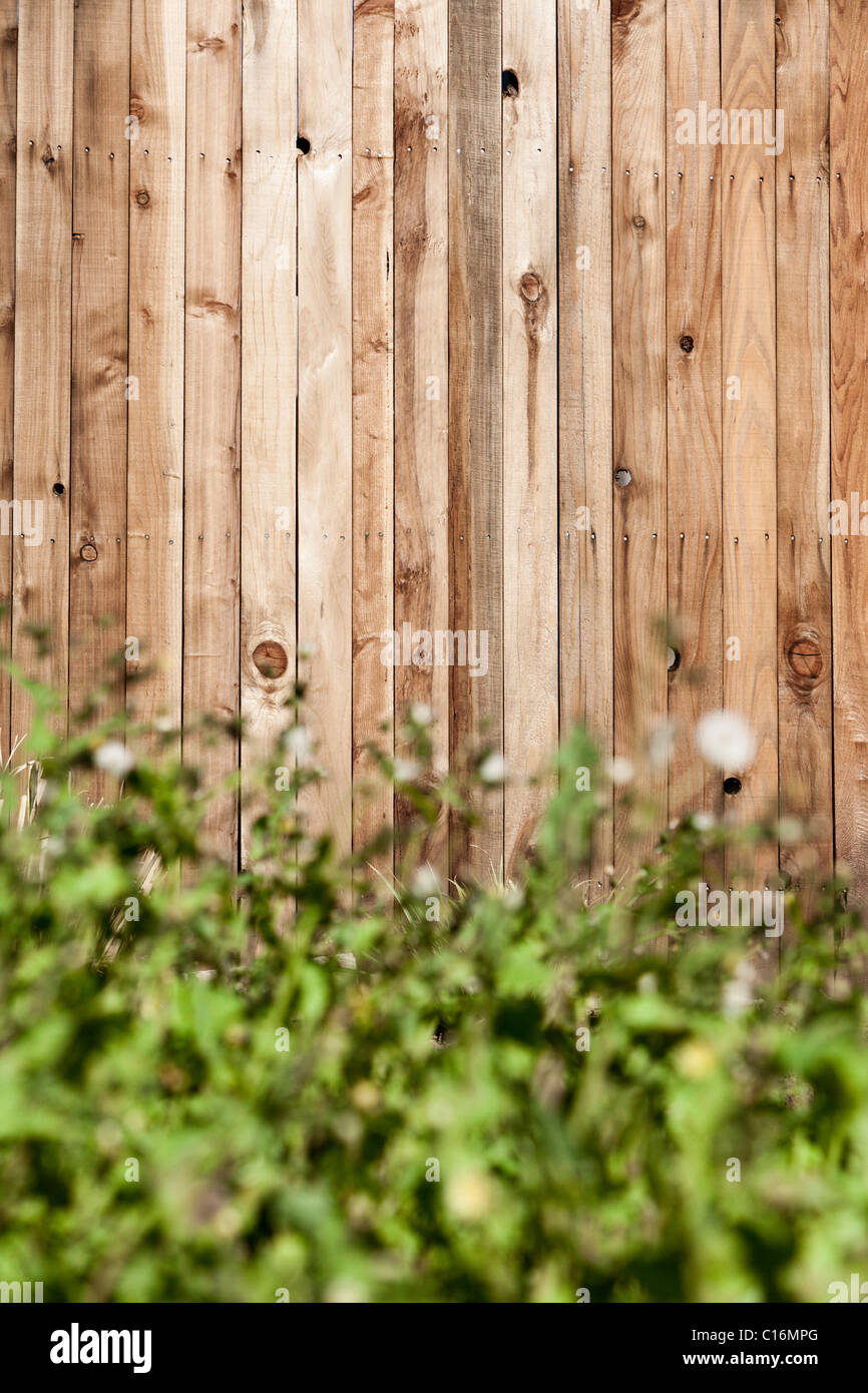 Wood Planks in a row Stock Photo - Alamy