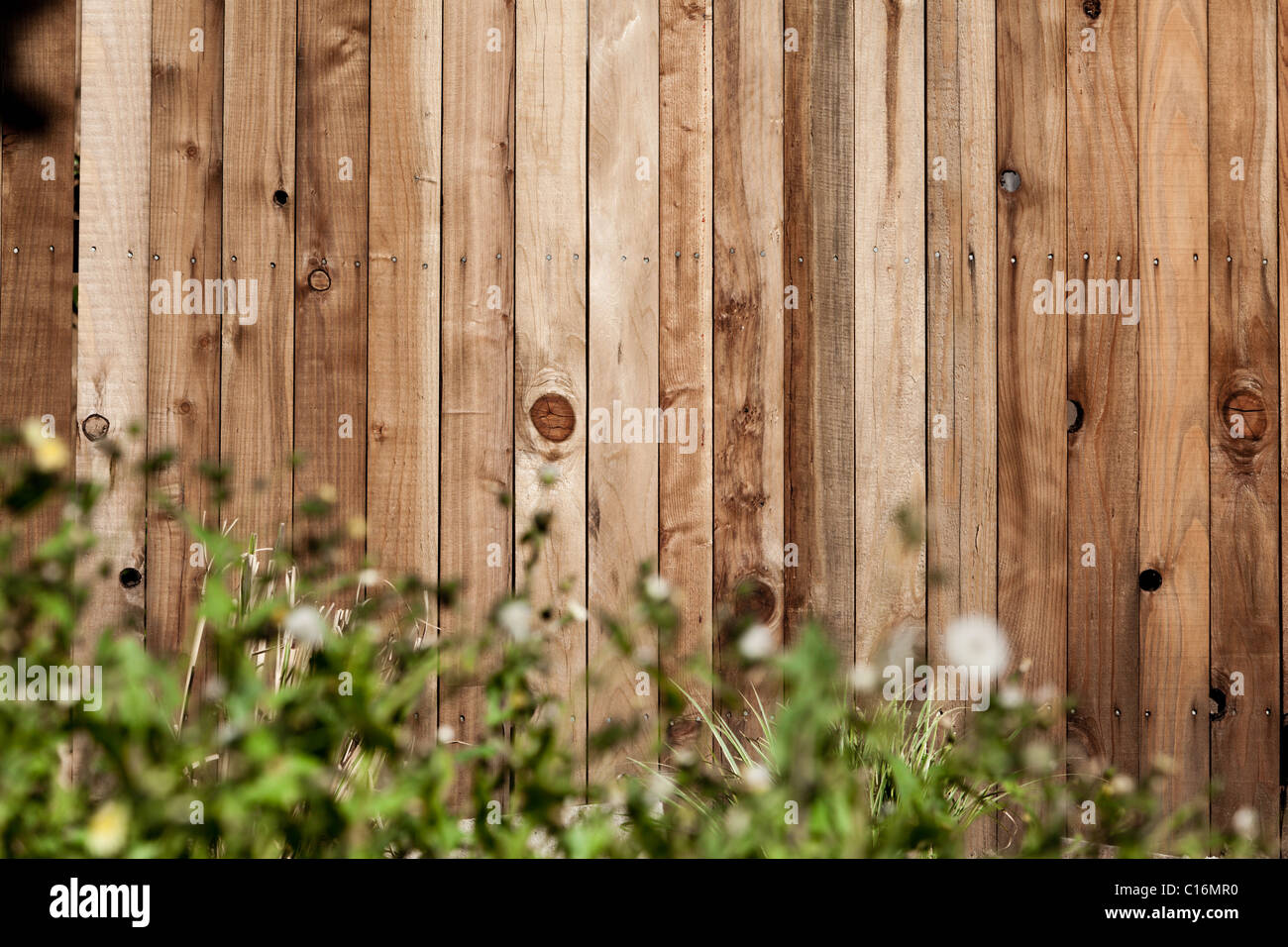 Wood Planks in a row Stock Photo - Alamy