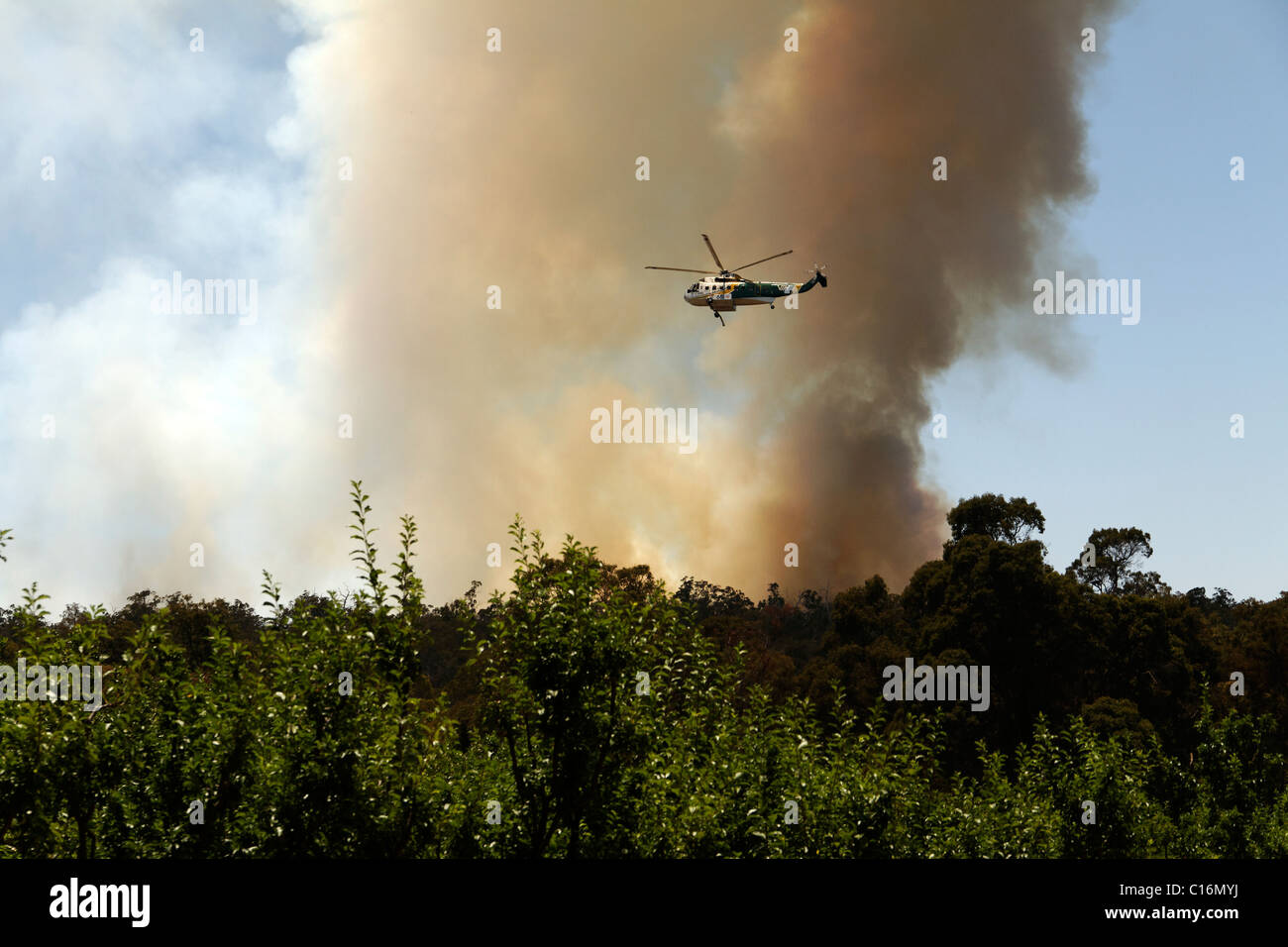 australian bush fire damage,australian bush fire aftermath,post ...