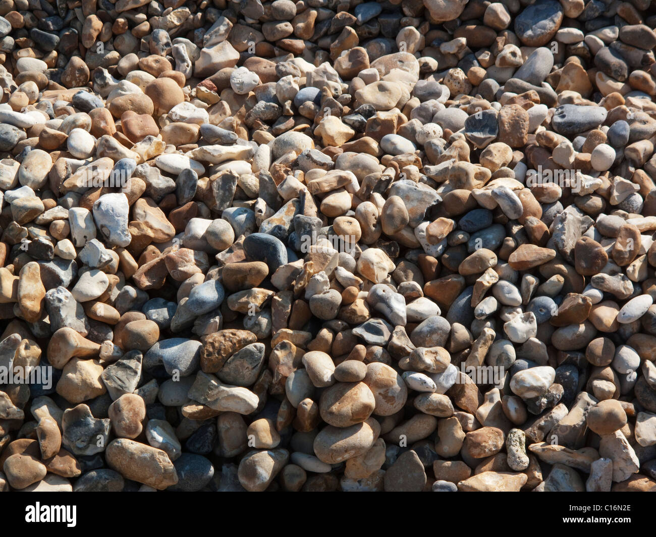 Shingle on the beach at Eastbourne in East Sussex Stock Photo - Alamy