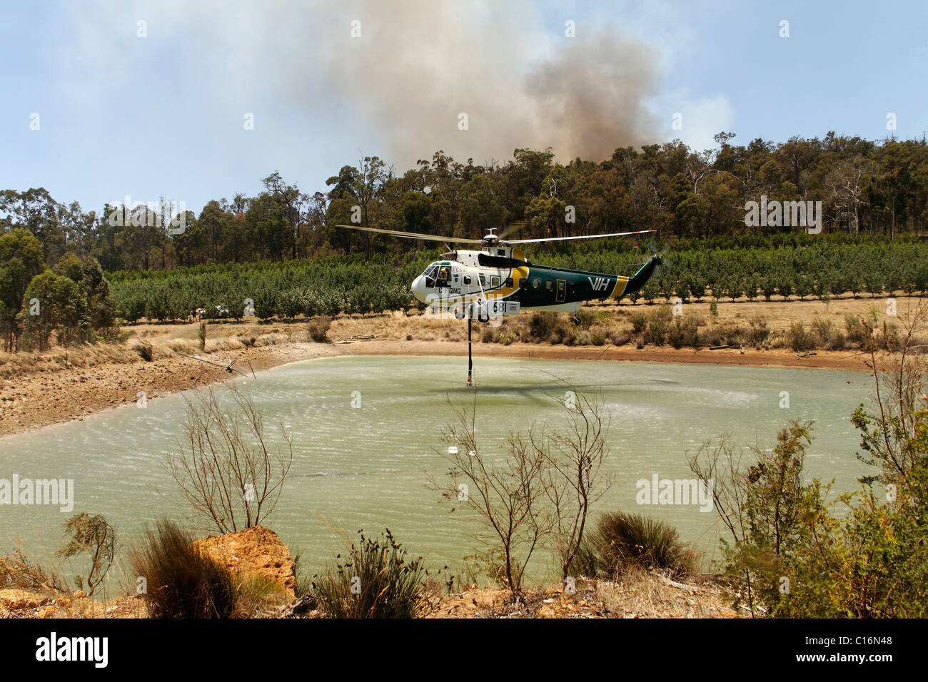 australian bush fire damage,australian bush fire aftermath,post ...